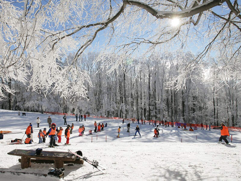 Ski Resort - Sljeme - Medvednica